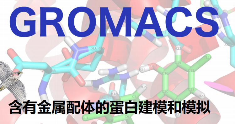 分子动力学GROMACS模拟仿真-9：分析命令之计算空间分布函数SDF_理论_材料_分子动力学_VASP_LAMMPS_仿真体系 ...